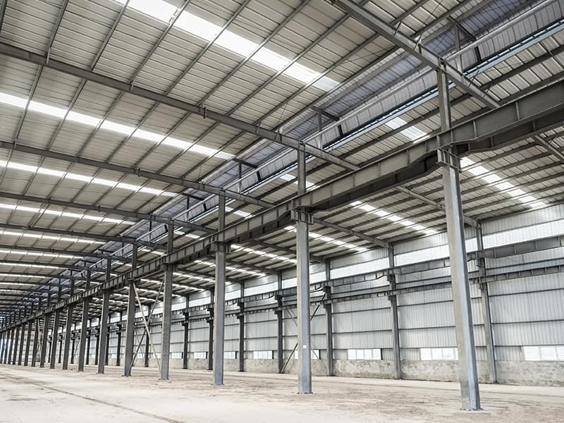 Construcții ferme porci - Hale metalice și sisteme eficiente ...